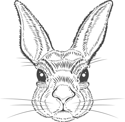 Rabbit graphic portrait of a sitting Royalty Free Vector