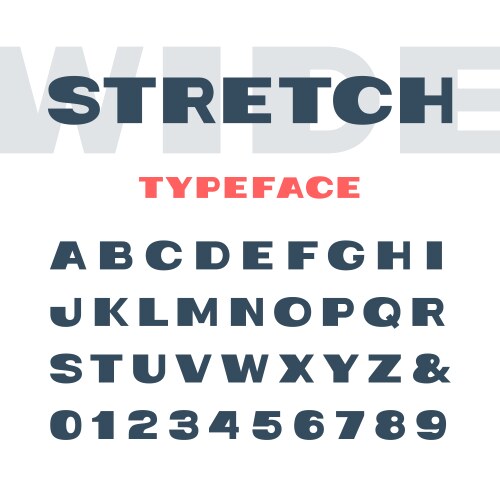 Alphabet font Royalty Free Vector Image - VectorStock