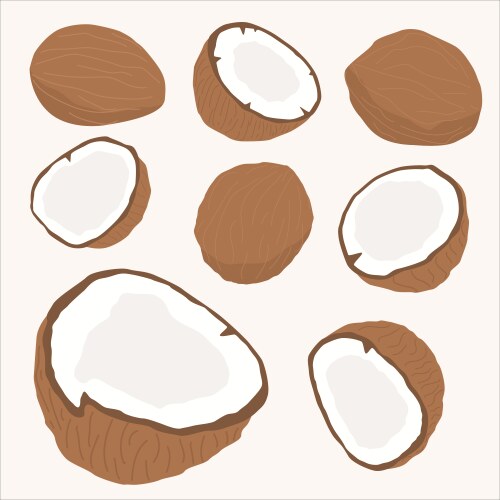 Coconut Vector Images (over 75,000)