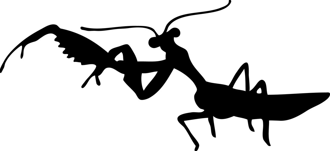 Mantis Vector Images (over 2,600)