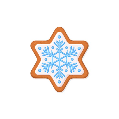 Snowflake shaped christmas gingerbread cookie Vector Image