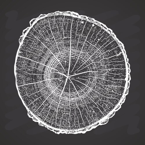 Tree log wood growth rings grunge texture Vector Image