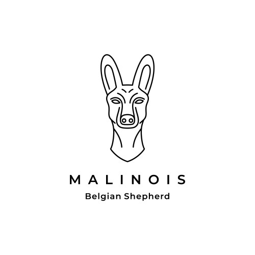 Belgian malinois peeking dog - head isolated Vector Image