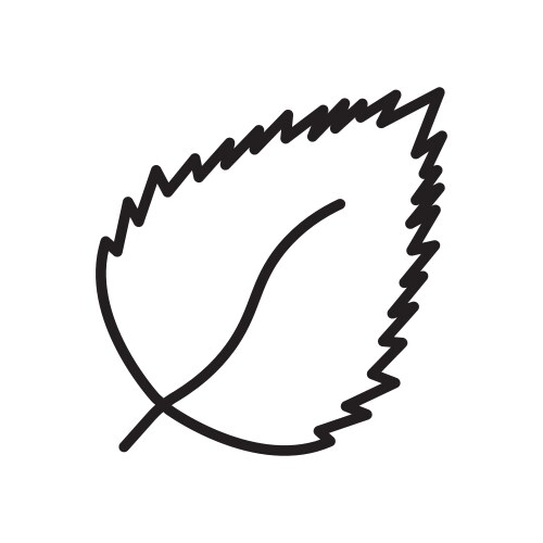 Birch Tree Logo Vector Images (over 1,300)