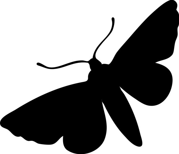 Moth silhouette Royalty Free Vector Image - VectorStock