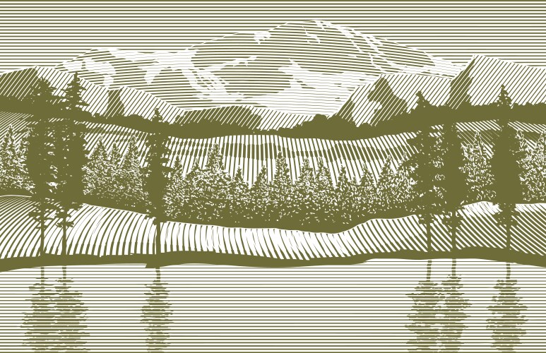 Landscape wilderness and horse drawing Royalty Free Vector