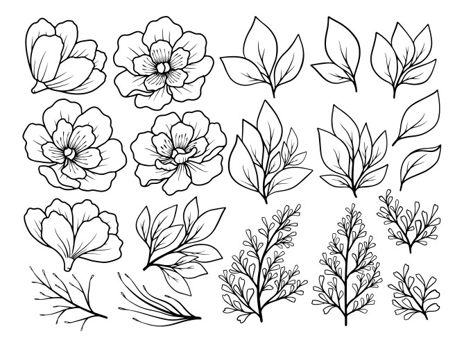 Flower sketch line art Royalty Free Vector Image