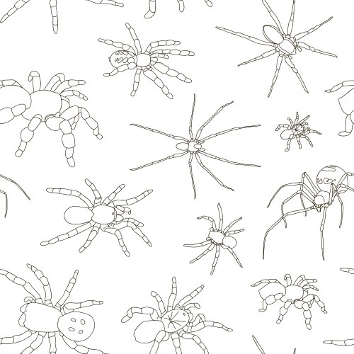 Spiders Pattern Vector Images (over 13,000)