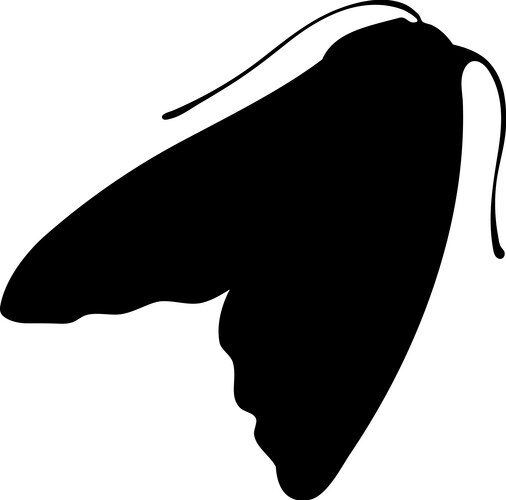 Moth silhouette Royalty Free Vector Image - VectorStock