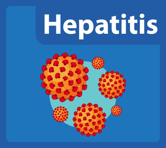Diagram of hepatitis b virus particle structure Vector Image