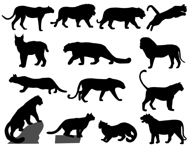 Tiger Outline Vector Images (over 12,000)