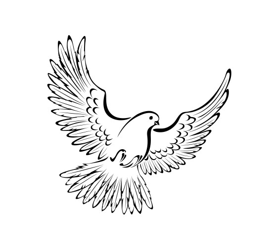 Dove Outline Vector Images (over 13,000)