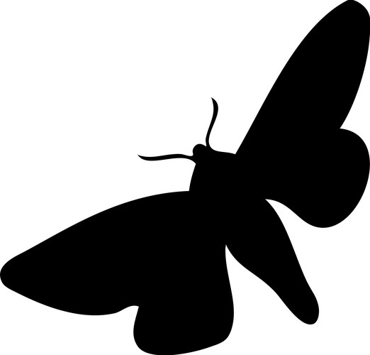 Moth silhouette Royalty Free Vector Image - VectorStock