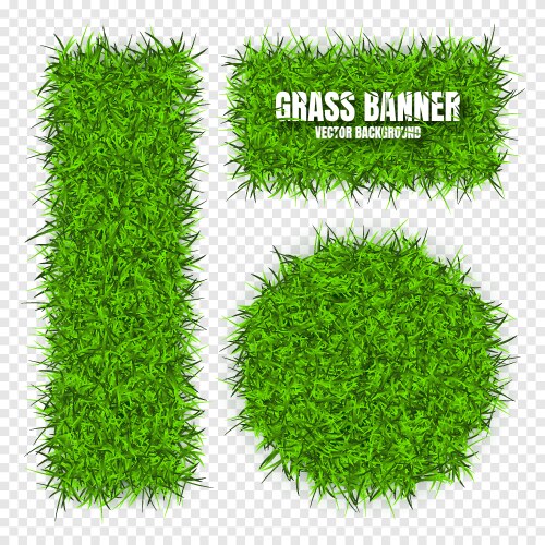 Green grass banners background field meadow Vector Image