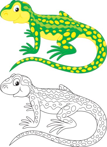 Lizard Outline Vector Images (over 5,100)