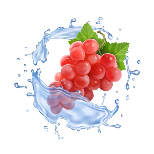 White grapes branch and juice splash Royalty Free Vector