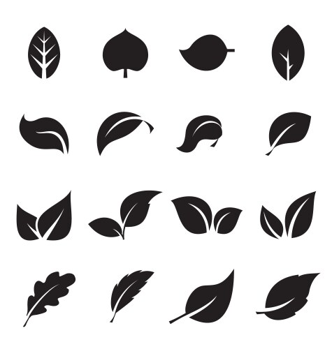 Leaf Vector Images (over 2.3 million)
