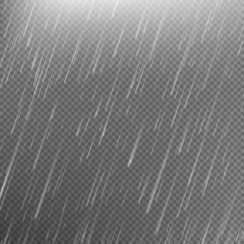 Realistic rain texture on transparent background Vector Image