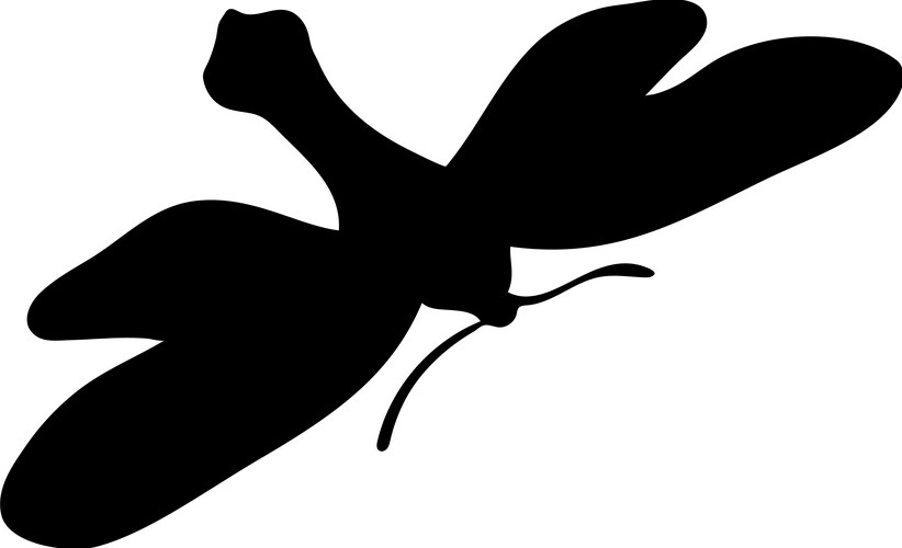 Moth Outline Vector Images (over 5,400)