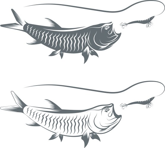 Tarpon Vector Images (over 100)