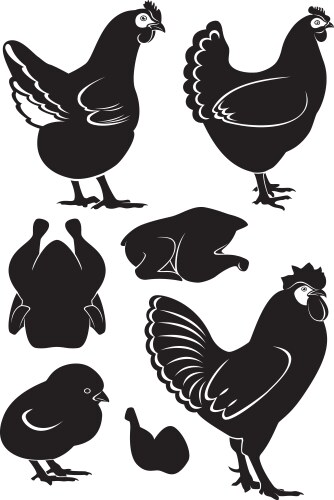 Free Chicken Vector Images (over 22,000)