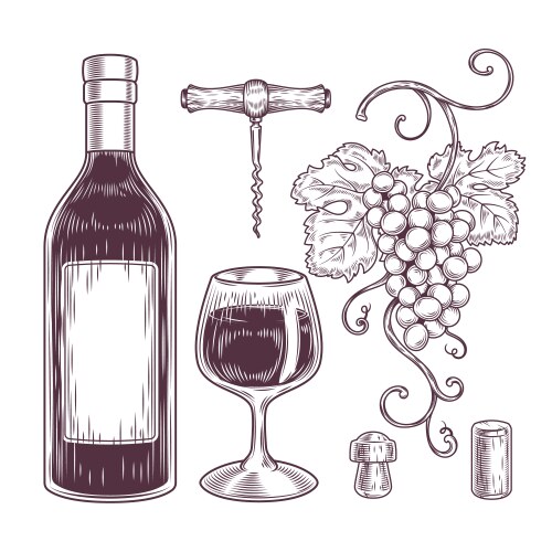 Red wine Royalty Free Vector Image - VectorStock