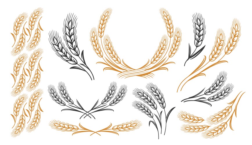 Wheat Seed Vector Images (over 32,000)