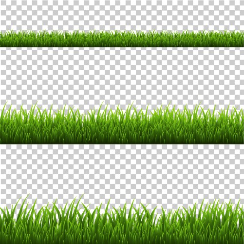 Green grass border for summer landscape Royalty Free Vector