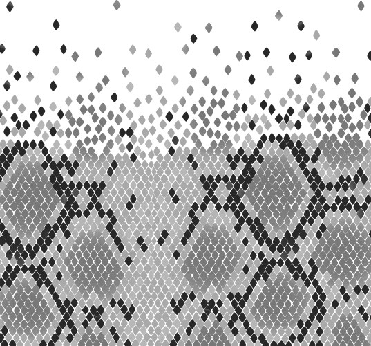 Snake python skin texture seamless pattern black Vector Image