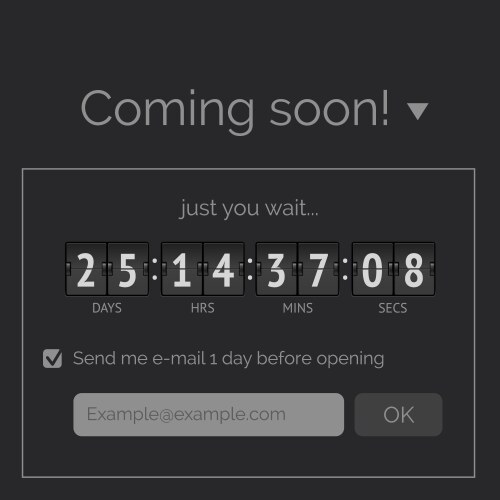 Countdown clock flip counter digital timer Vector Image