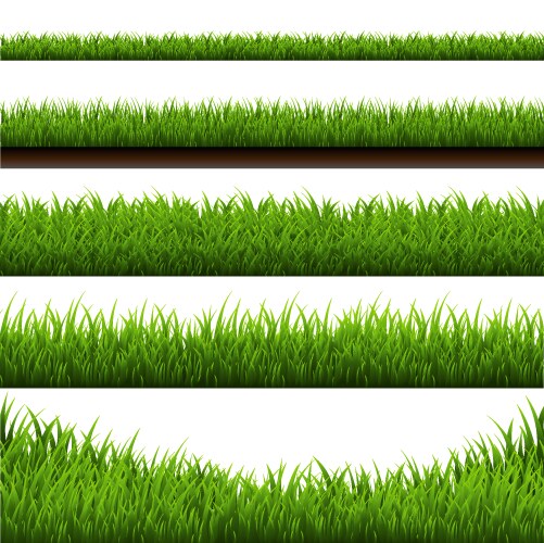 Grass frame borders Royalty Free Vector Image - VectorStock