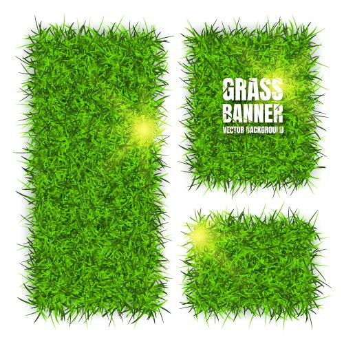 Green grass banners background field meadow Vector Image