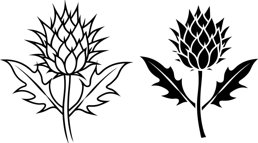 Thistle Outline Vector Images (over 450)
