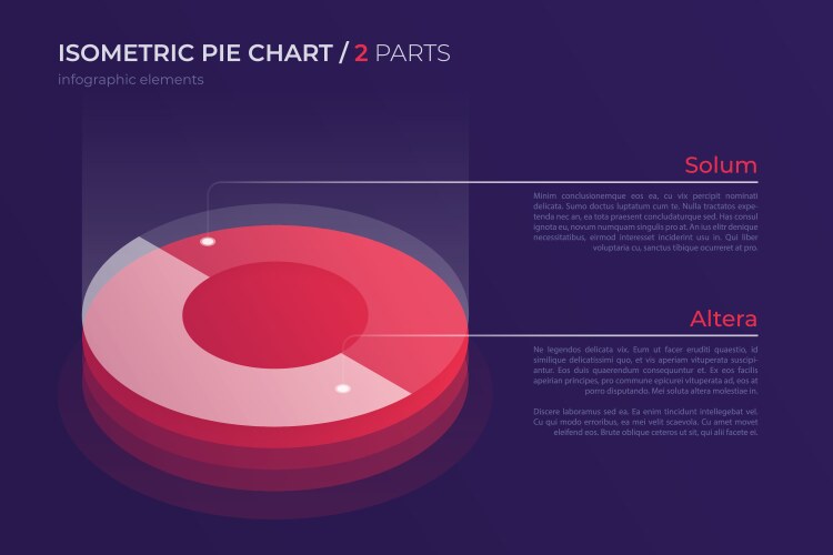 Infographics pie chart Royalty Free Vector Image