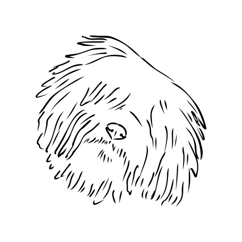 Minimalist puli dog logo design modern line art Vector Image