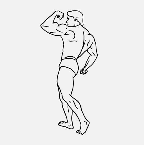 Line Drawing Body Vector Images (over 35,000)