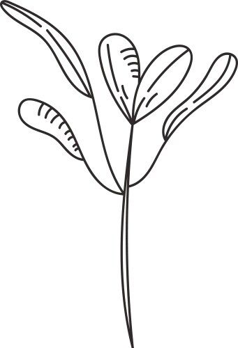 Sorrel micro greens sketch Royalty Free Vector Image