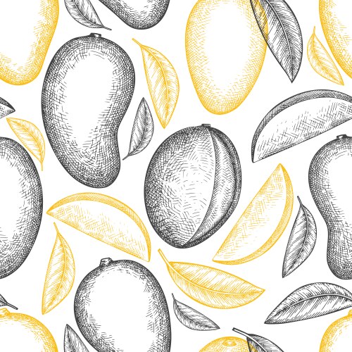 Tropical fruit seamless pattern ripe mango sketch Vector Image