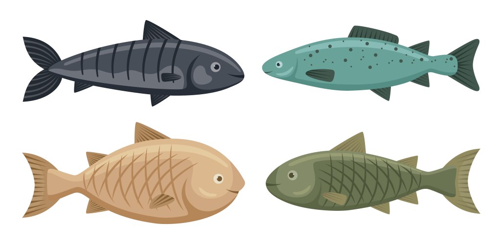 Freshwater Fish Drawing Vector Images (over 3,600)