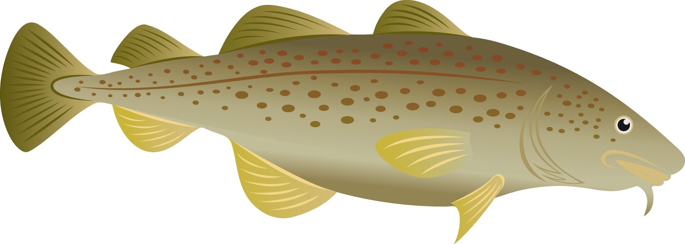 Cod Fish Vector Images (over 3,100)