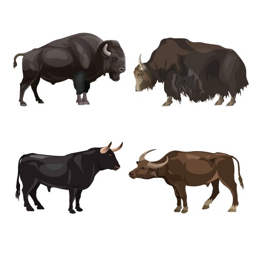 Cattle breeding set Royalty Free Vector Image - VectorStock