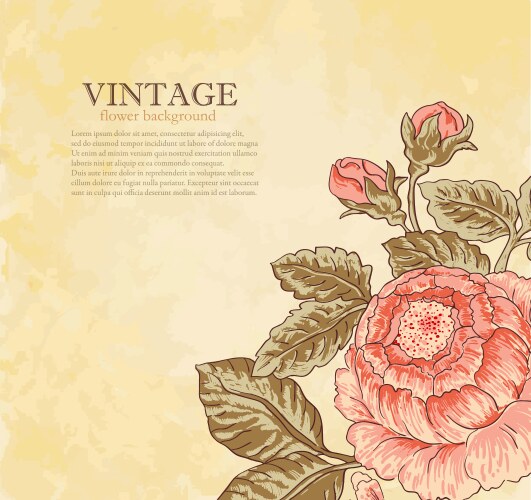 Vintage Flower Vector Images (over 740,000)