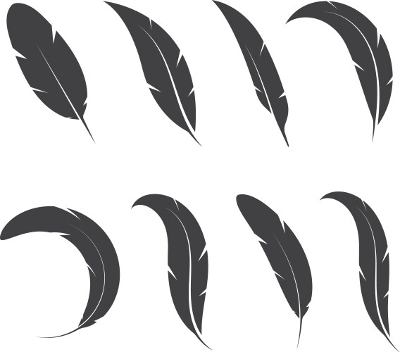 Feather Vector Images (over 280,000)