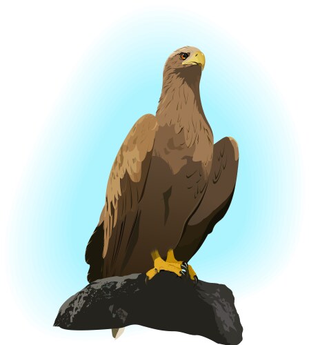 Animated Hawk Vector Images (over 30,000)