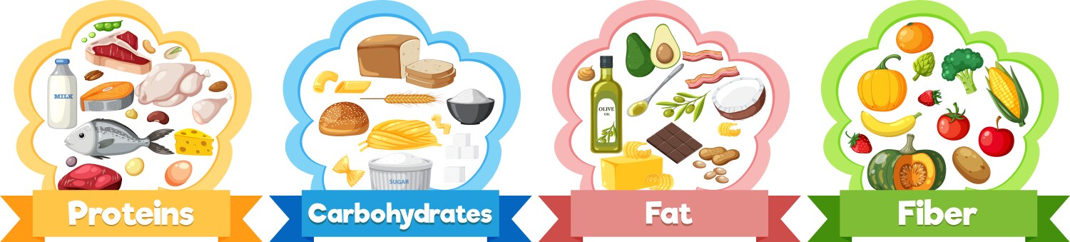 Nutrition Pyramid Vector Images (over 850)