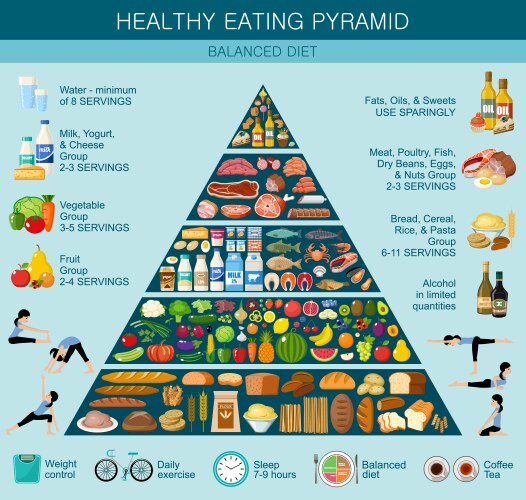 Healthy Food Pyramid Infographic – Royalty-Free Vector | VectorStock