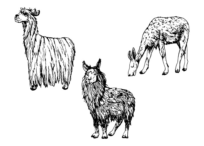 Ink hand drawn sketch scottish traditional Vector Image