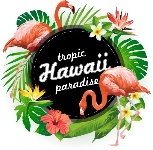 Hawaii Vector Images (over 100,000)