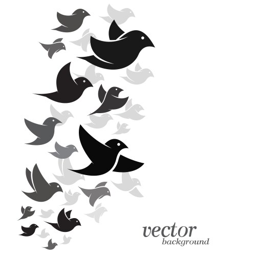 Bird Vector Images (over 540,000)