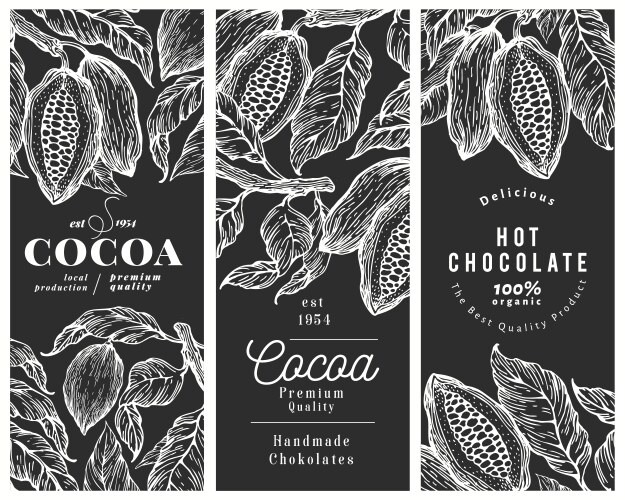 Cocoa banner template chocolate beans Royalty Free Vector